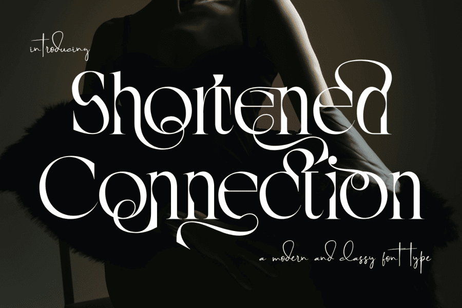 Shortened Connection Demo Font · 1001 Fonts