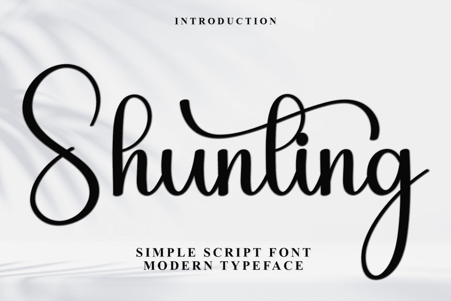 Shunting Font · 1001 Fonts
