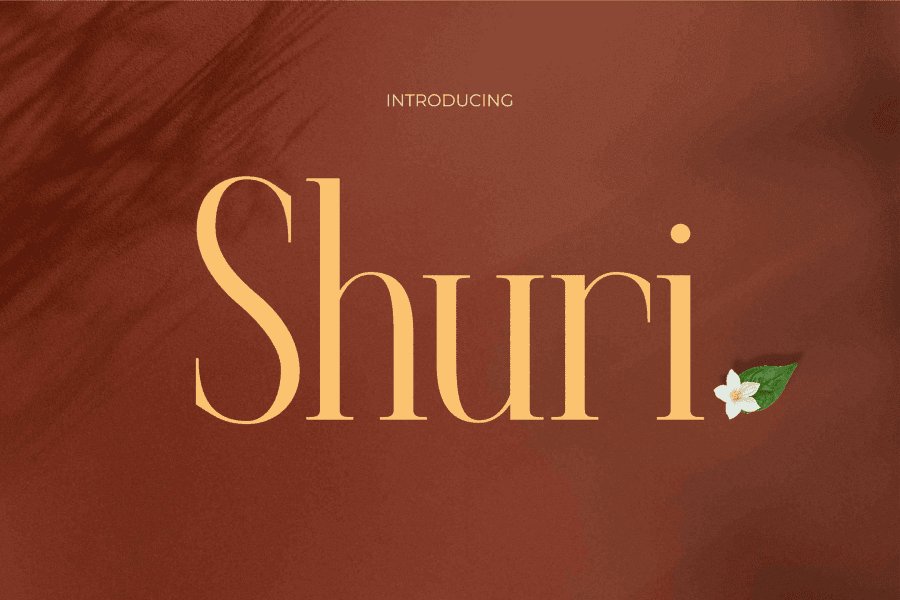 Shuri Font · 1001 Fonts