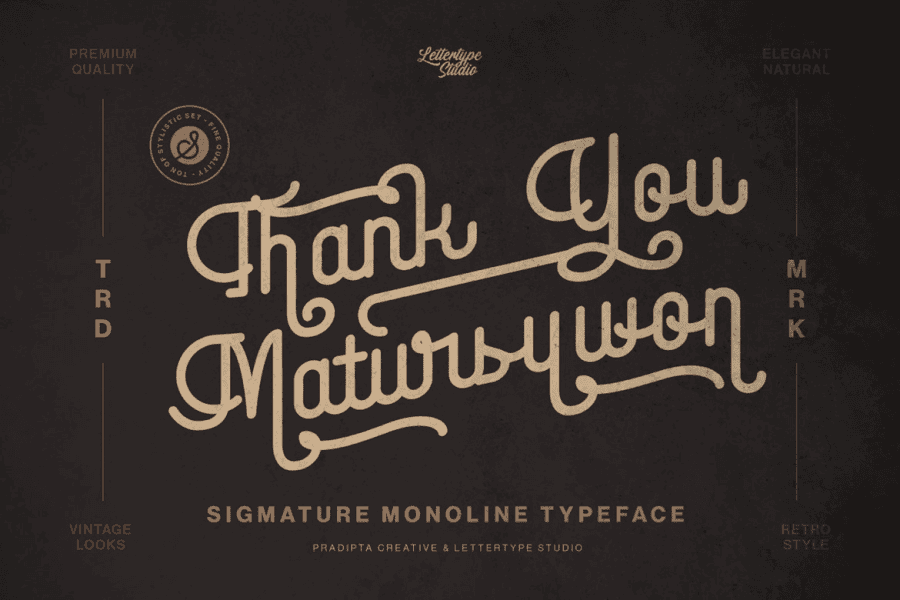 Sigmature Monoline DEMO Font · 1001 Fonts