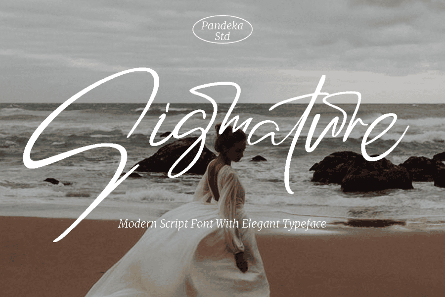 5 Free Chic, Stylish Logo Fonts · 1001 Fonts