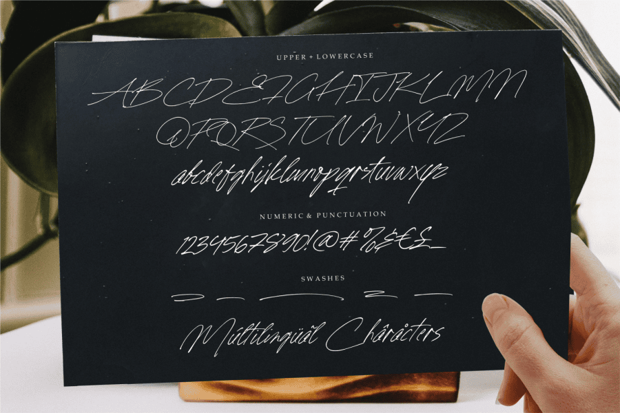Signature Moment Font · 1001 Fonts