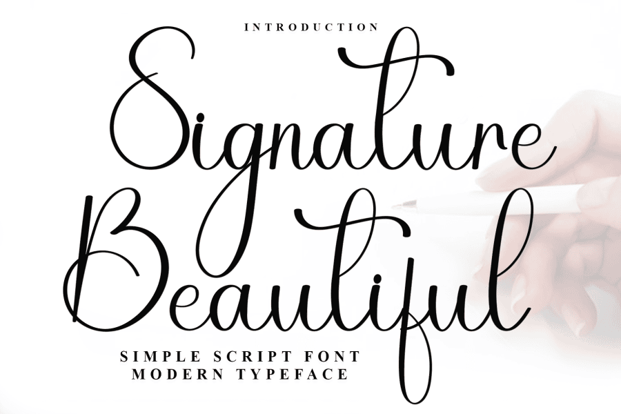 Signature Wonderful Font · 1001 Fonts