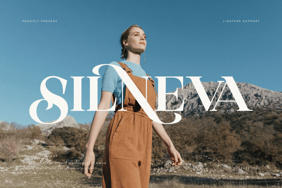 12 Free Luxury, Presentation, Flyer Fonts · 1001 Fonts