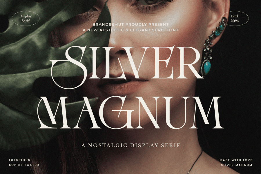 Silver Magnum Font · 1001 Fonts