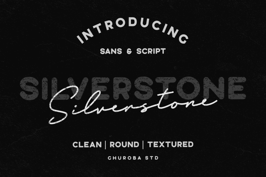 Silverstone Font Family · 1001 Fonts