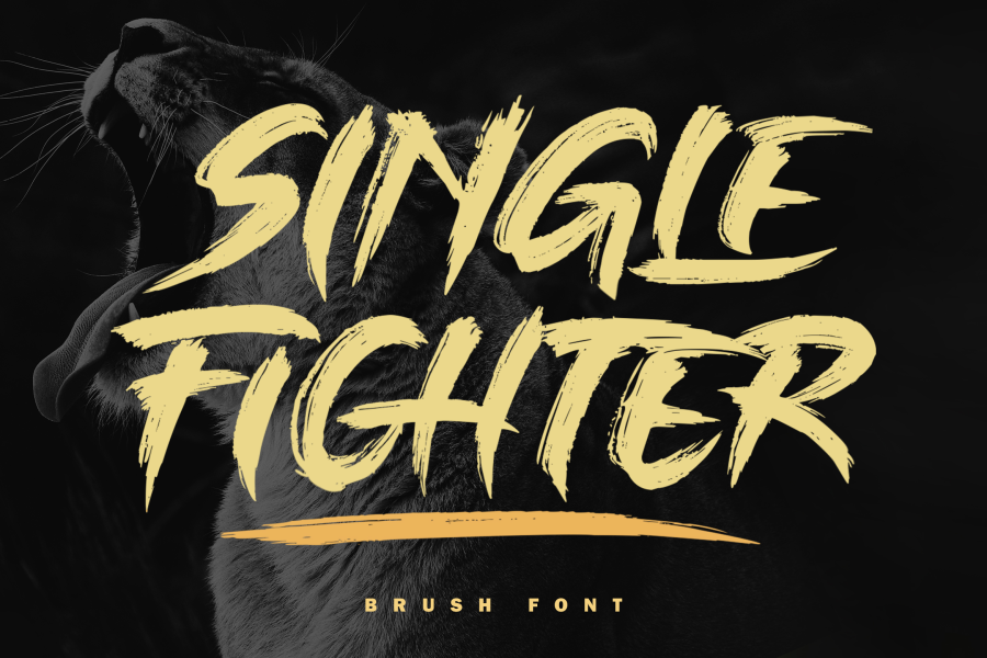 SINGLE FIGHTER Font · 1001 Fonts