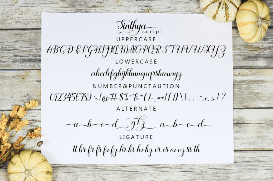 Sinthya Script Font · 1001 Fonts