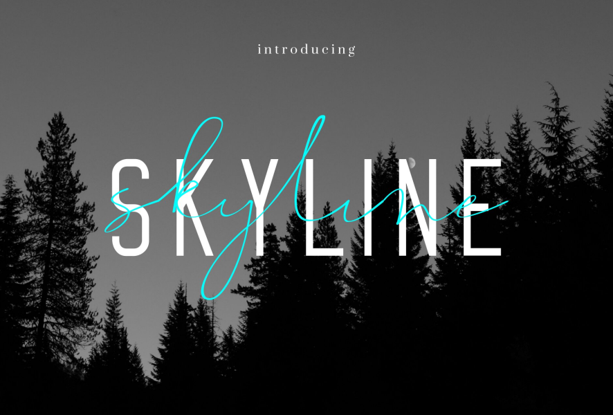 SKYLINE Font Family · 1001 Fonts
