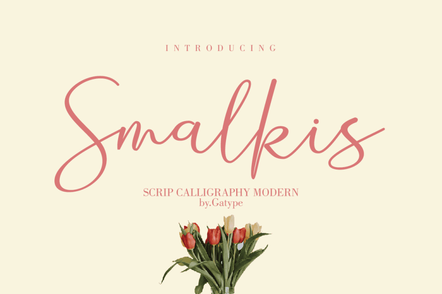 Smalkis Font · 1001 Fonts
