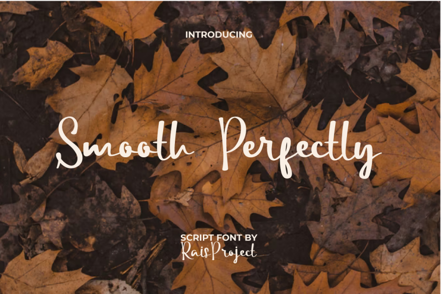 SmoothPerfectly Demo Font · 1001 Fonts