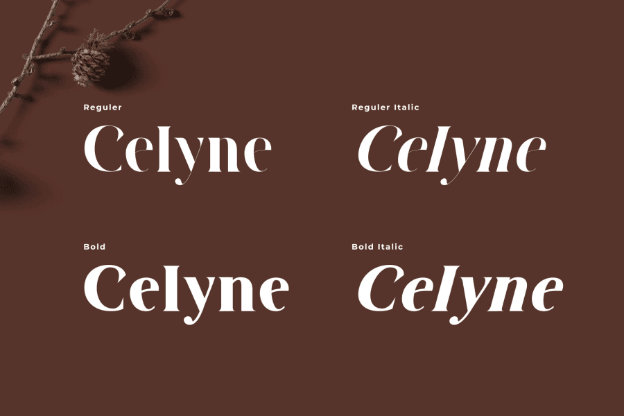 Sorhe Font Family · 1001 Fonts