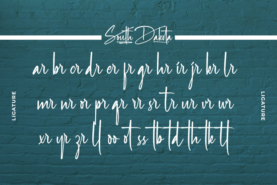 South Dakota Demo Font · 1001 Fonts