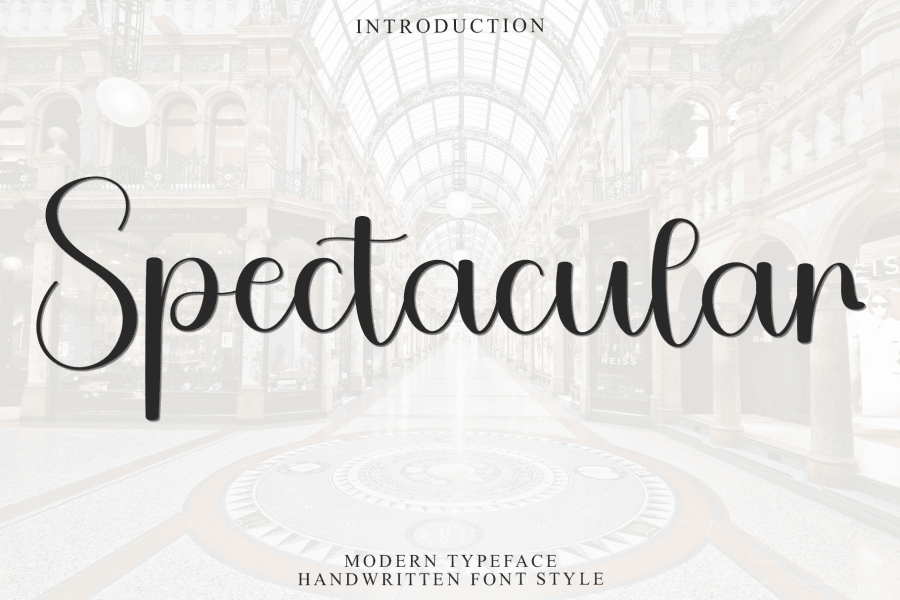 Spectacular Font · 1001 Fonts