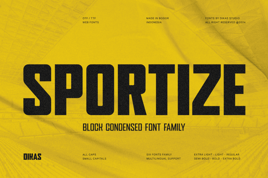 Sportize Personal Use Font Family · 1001 Fonts