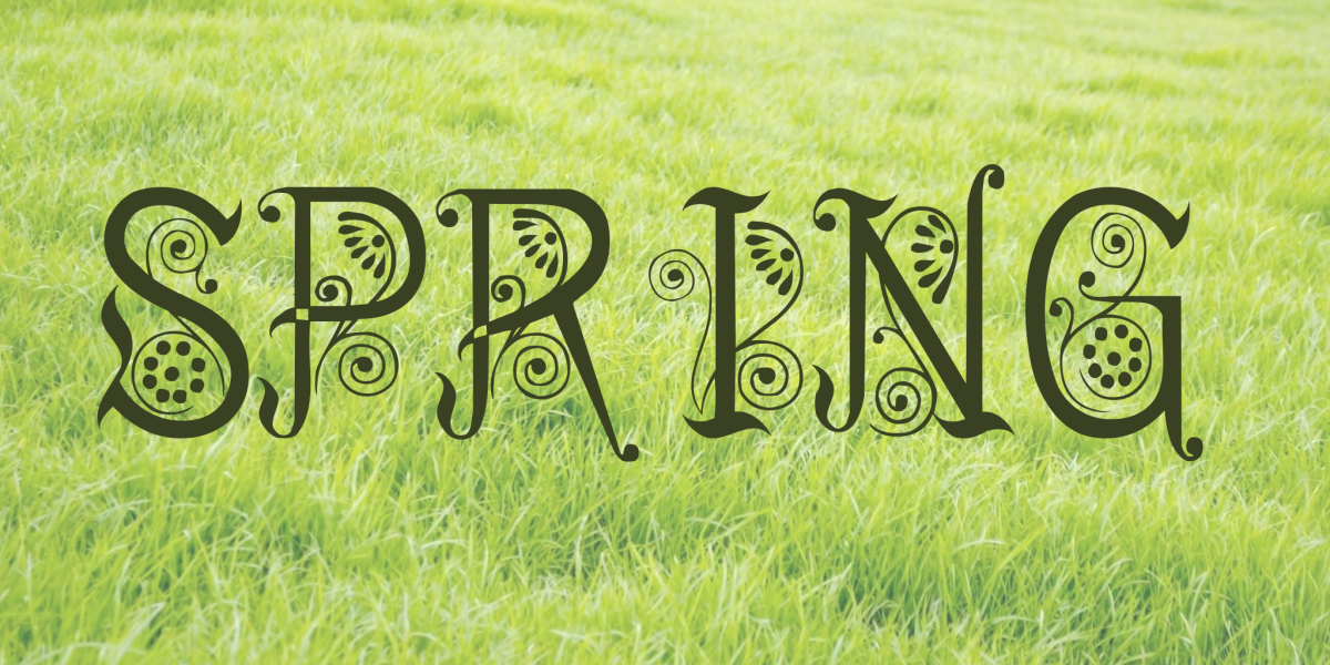 Spring Font · 1001 Fonts