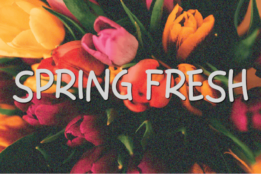 Spring Fresh Font · 1001 Fonts