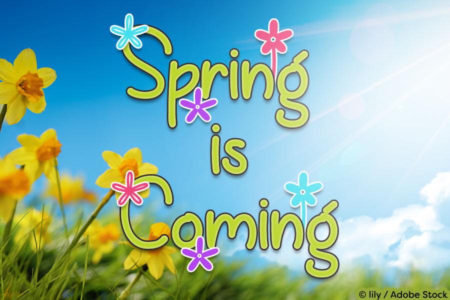 Spring is Coming Font · 1001 Fonts