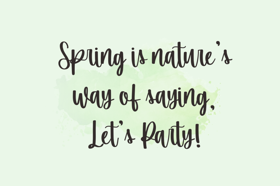 Spring Market Font · 1001 Fonts
