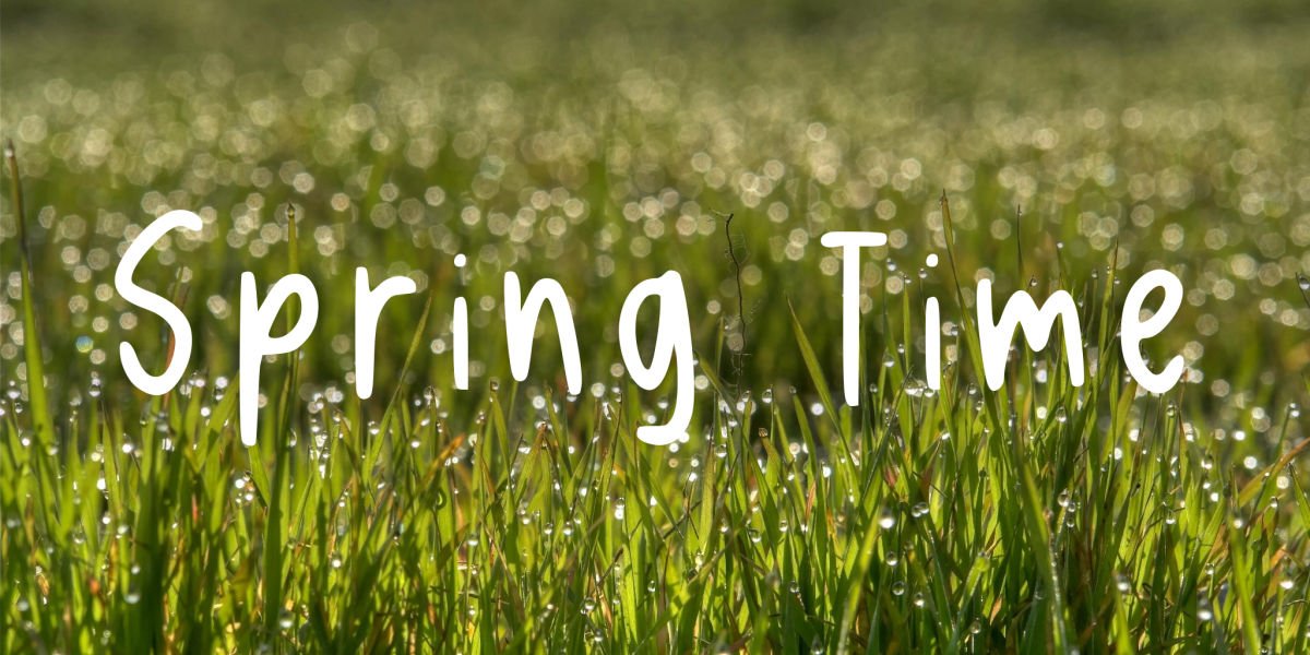 Spring Time Font · 1001 Fonts