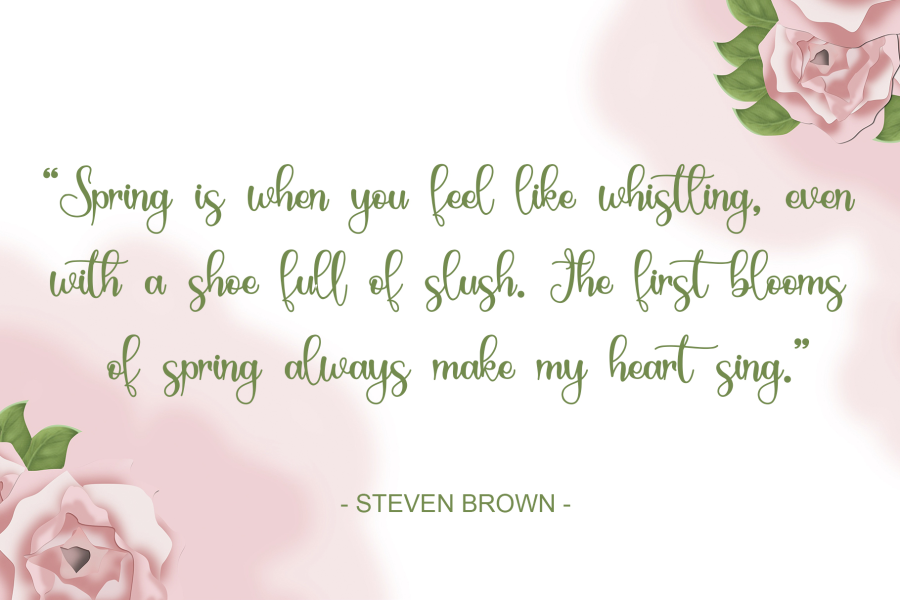 Springbee - Personal Use Font · 1001 Fonts