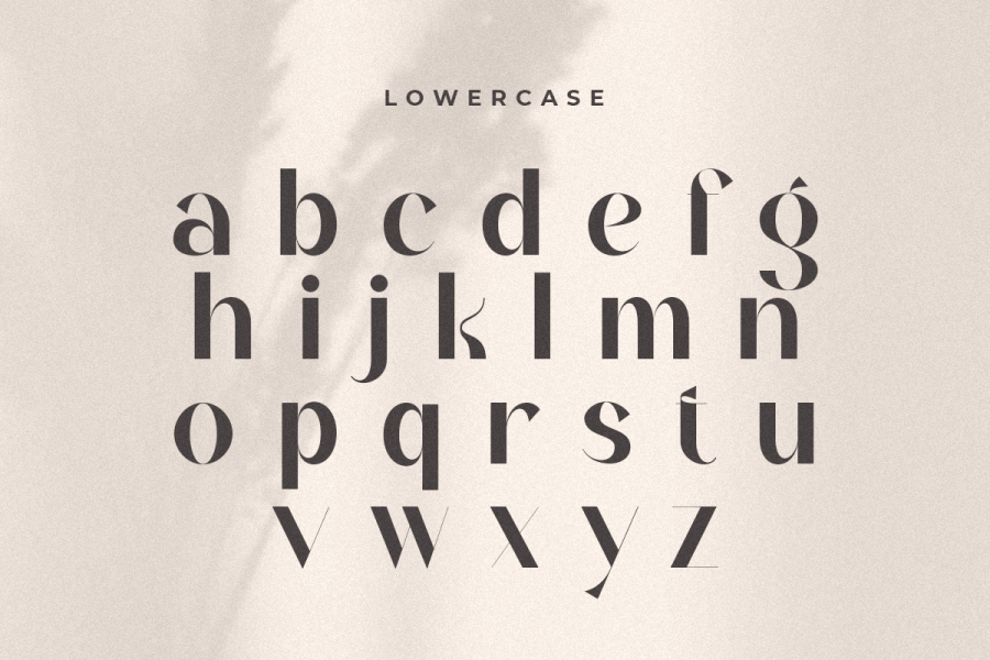 SS Aldora Font · 1001 Fonts