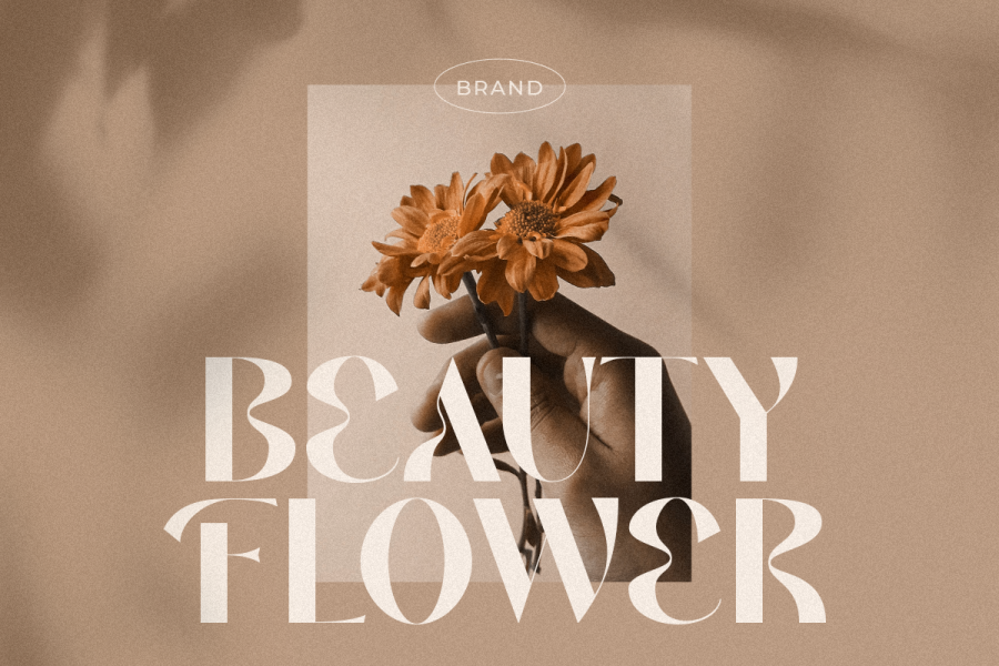 SS Aldora Font · 1001 Fonts