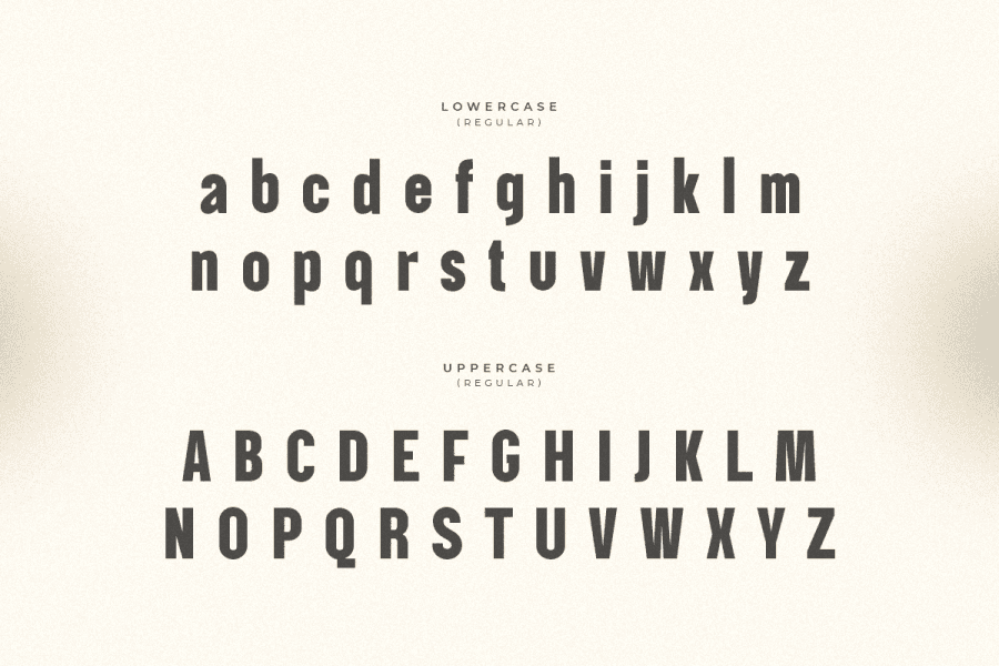SS Anything Font · 1001 Fonts
