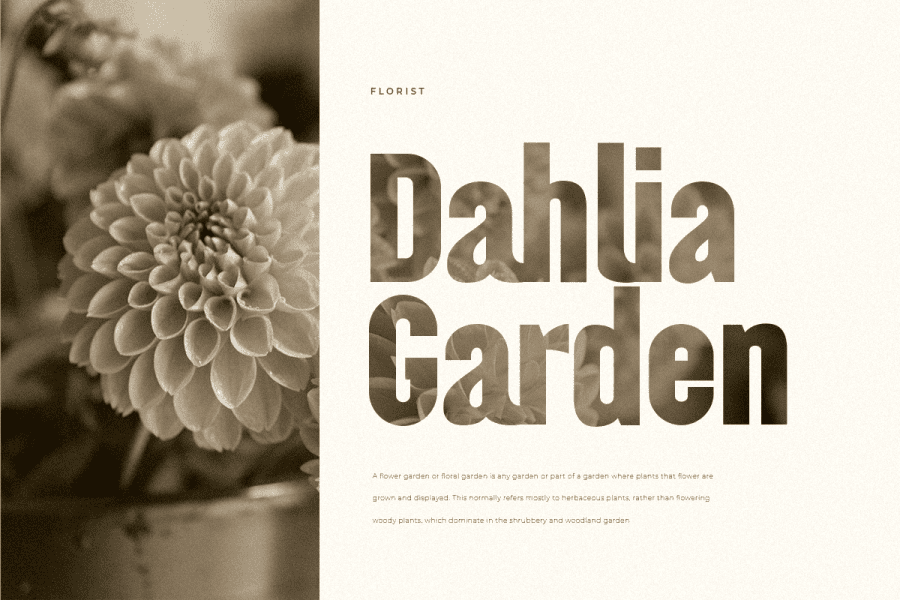 SS Anything Font · 1001 Fonts