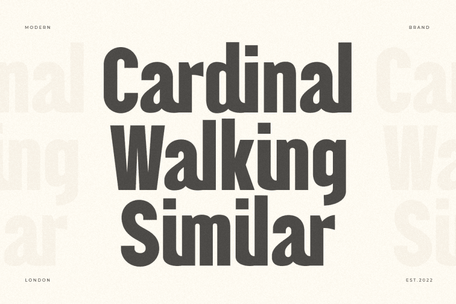 SS Anything Font · 1001 Fonts