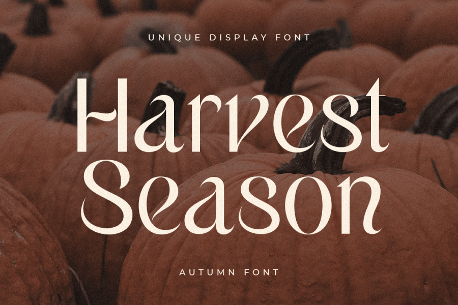 SS Autumn Font · 1001 Fonts