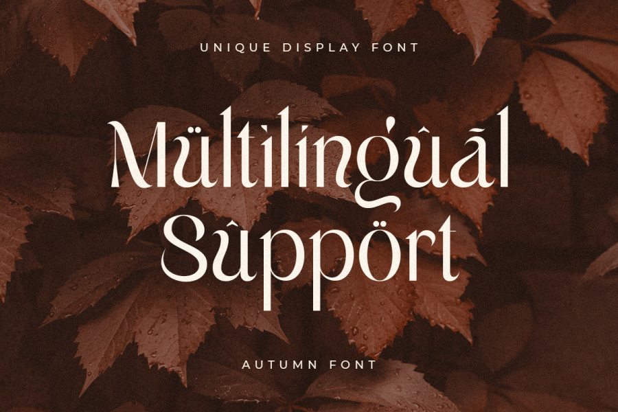 SS Autumn Font · 1001 Fonts