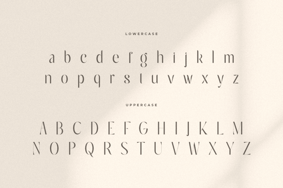 SS Belgium Font · 1001 Fonts