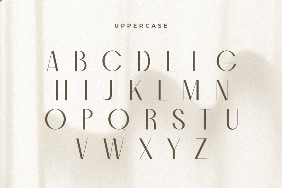 SS Bridge Font · 1001 Fonts