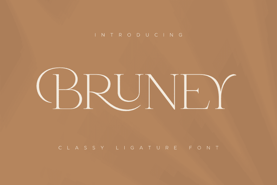 SS Bruney Font · 1001 Fonts