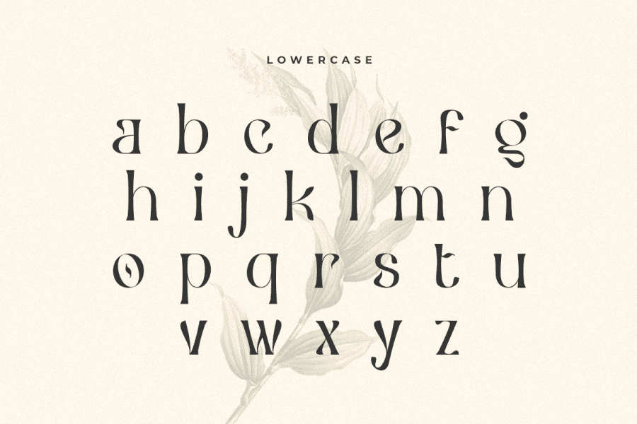 SS Ceria Font · 1001 Fonts