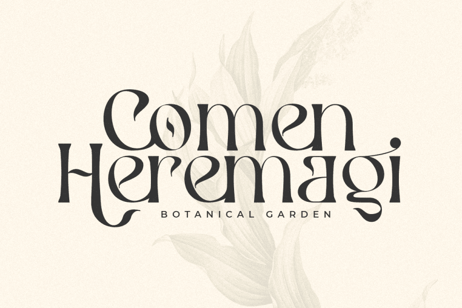 SS Ceria Font · 1001 Fonts