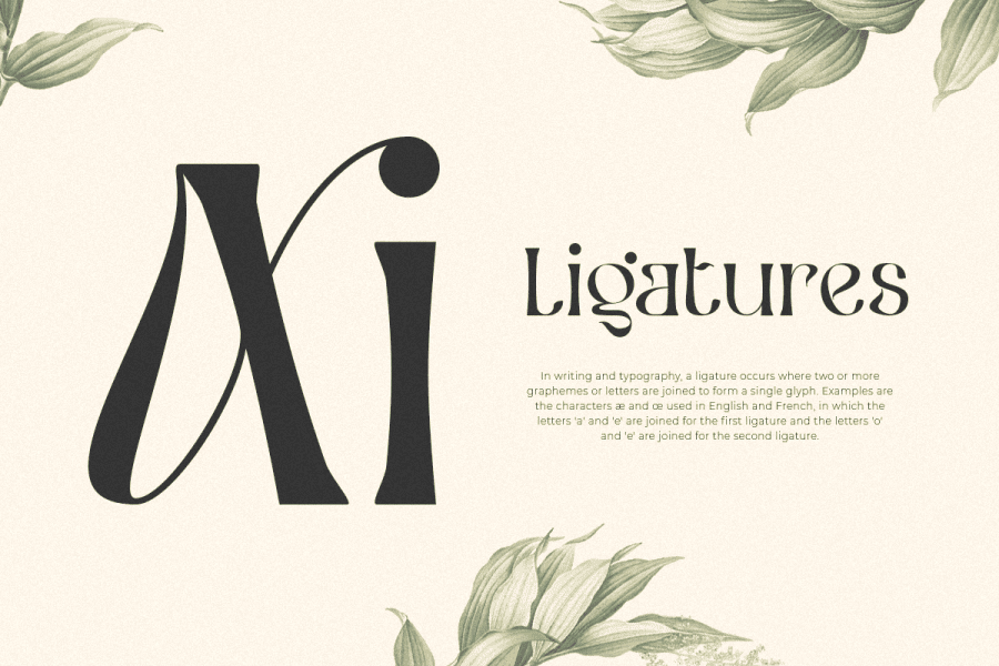 SS Ceria Font · 1001 Fonts