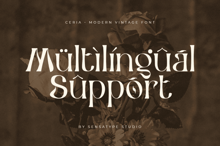 SS Ceria Font · 1001 Fonts