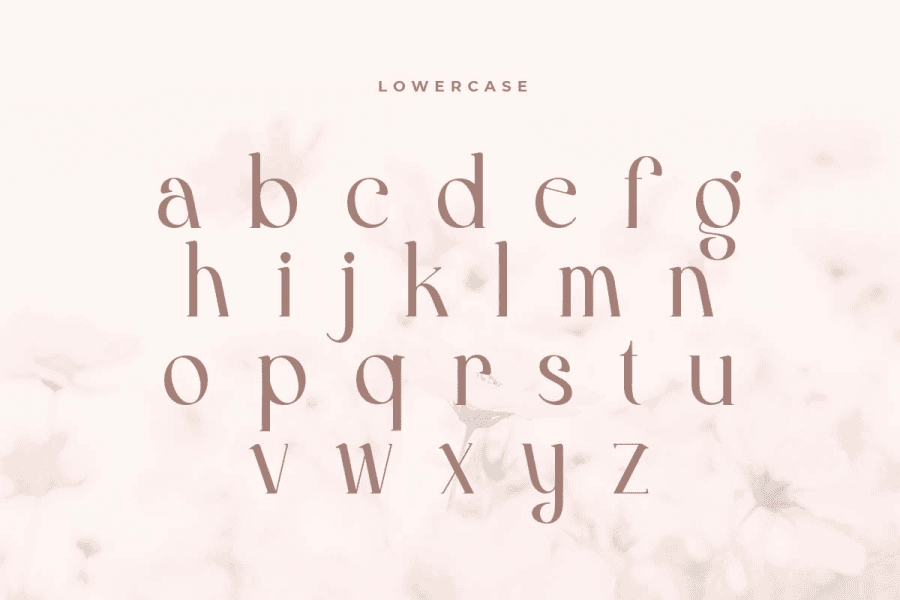 SS Hannah Font · 1001 Fonts