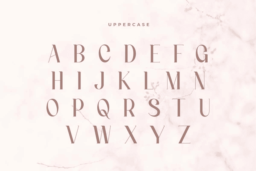 SS Hannah Font · 1001 Fonts