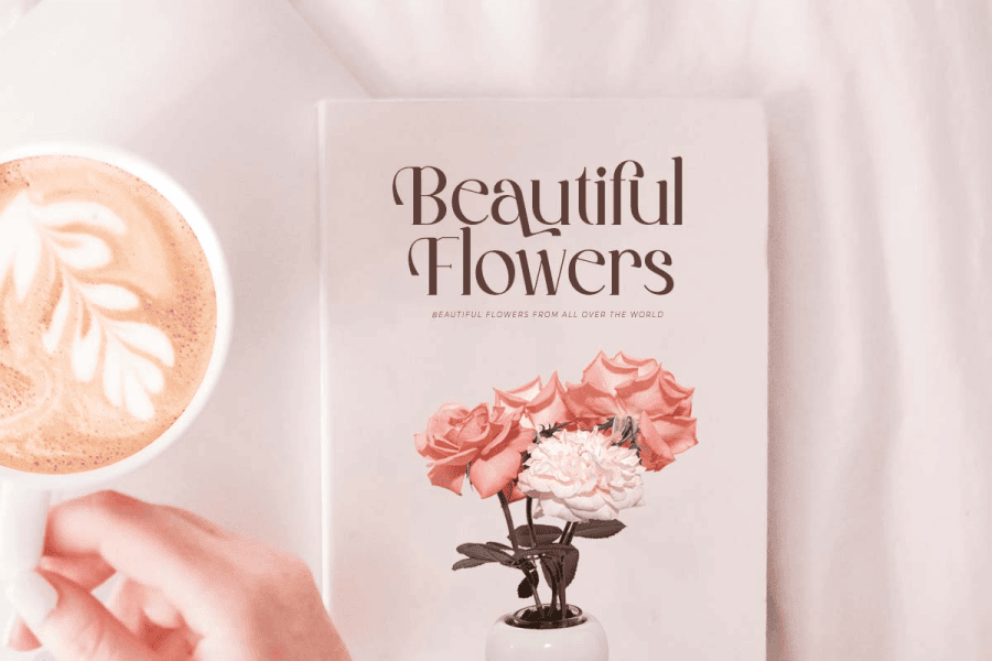 SS Hannah Font · 1001 Fonts