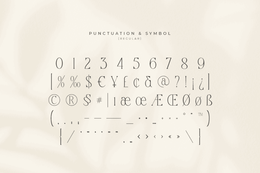 SS Legacy Font · 1001 Fonts