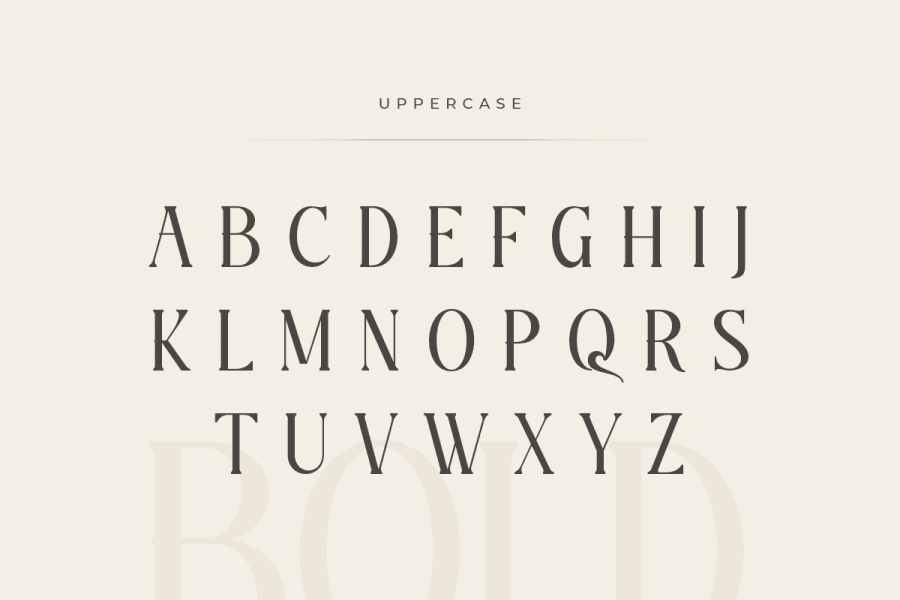 SS Legacy Font · 1001 Fonts