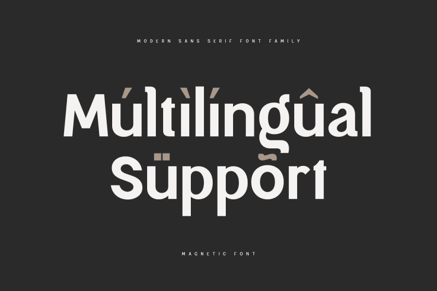 SS Magnetic Font · 1001 Fonts