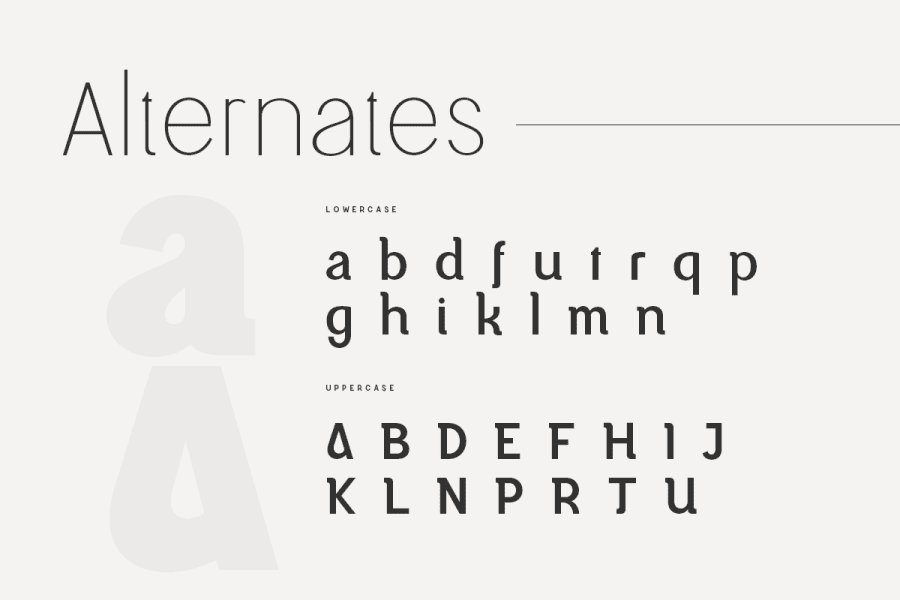 SS Magnetic Font · 1001 Fonts