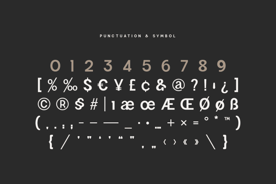 SS Magnetic Font · 1001 Fonts