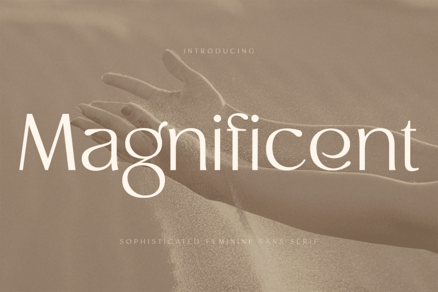 SS Magnificent Font · 1001 Fonts