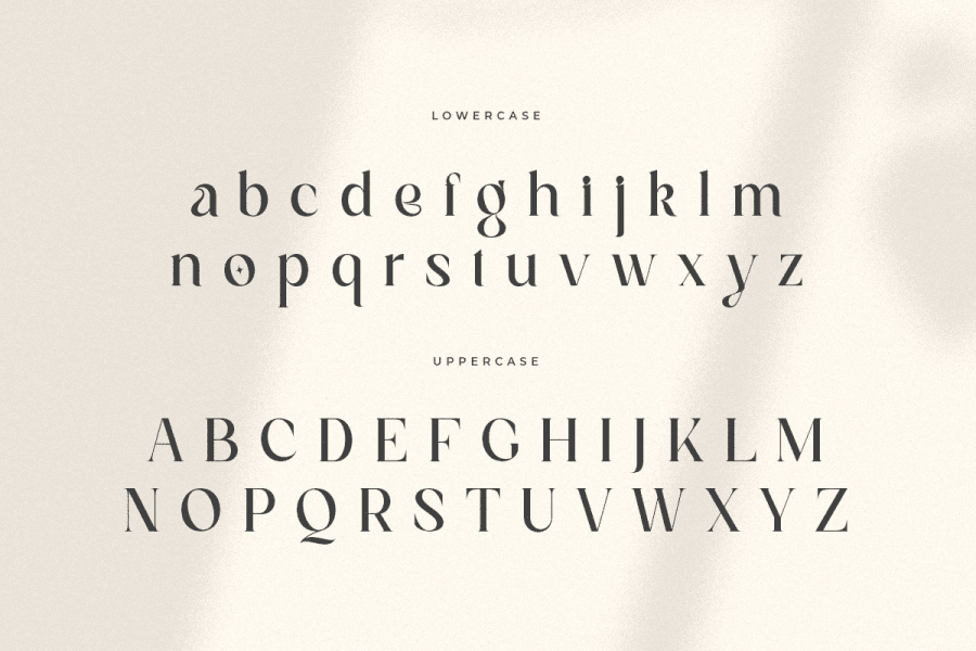 SS Magnolia Font · 1001 Fonts