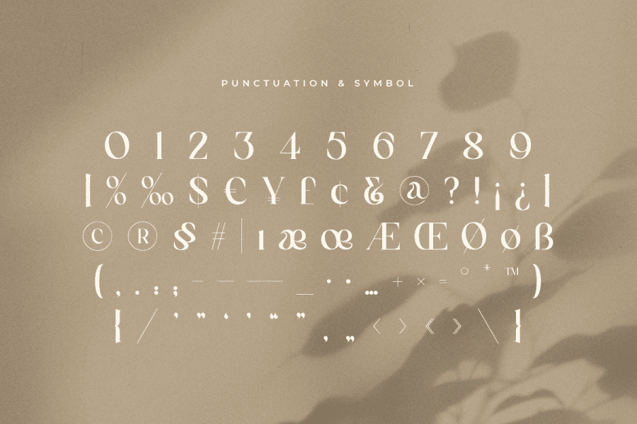 SS Magnolia Font · 1001 Fonts